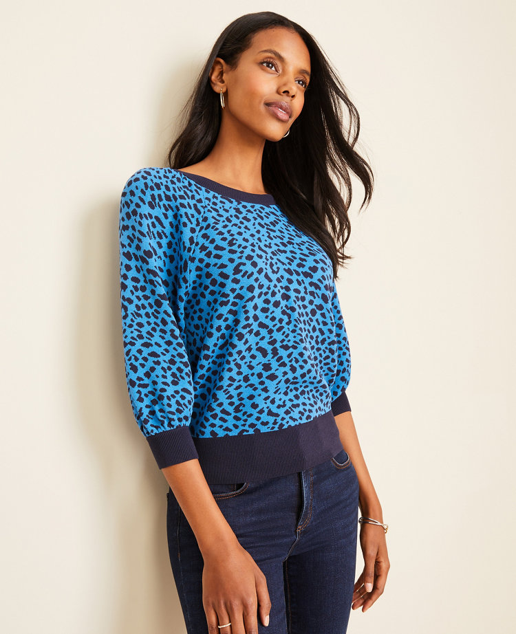 Leopard Print Raglan Sleeve Sweater