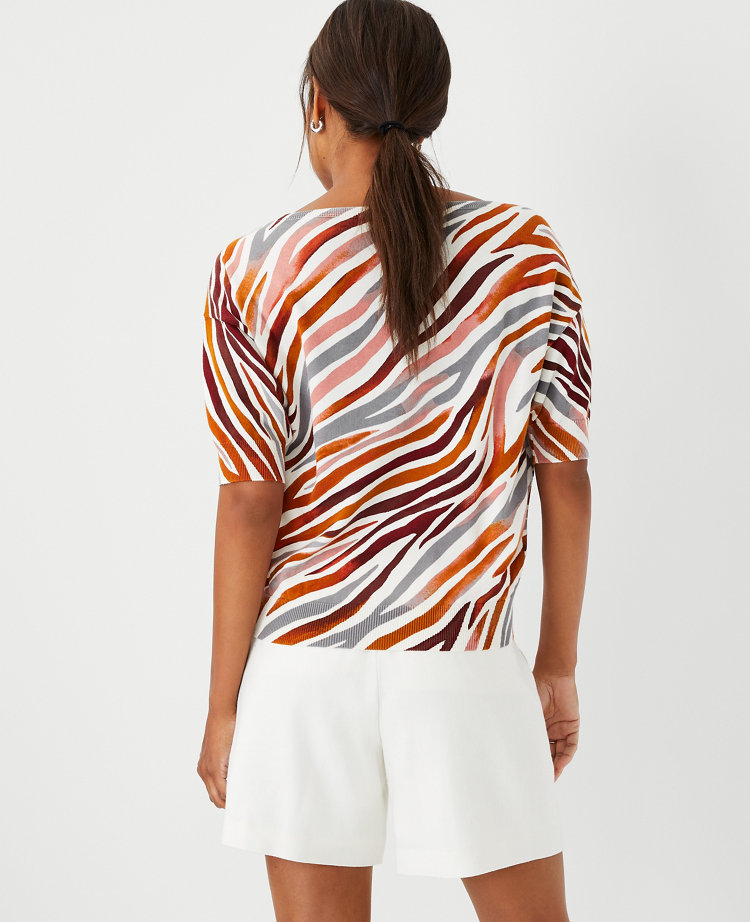 Zebra Stripe Sweater