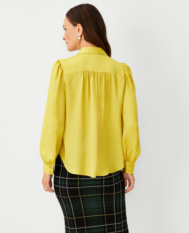 Petite Collared Button Down Blouse