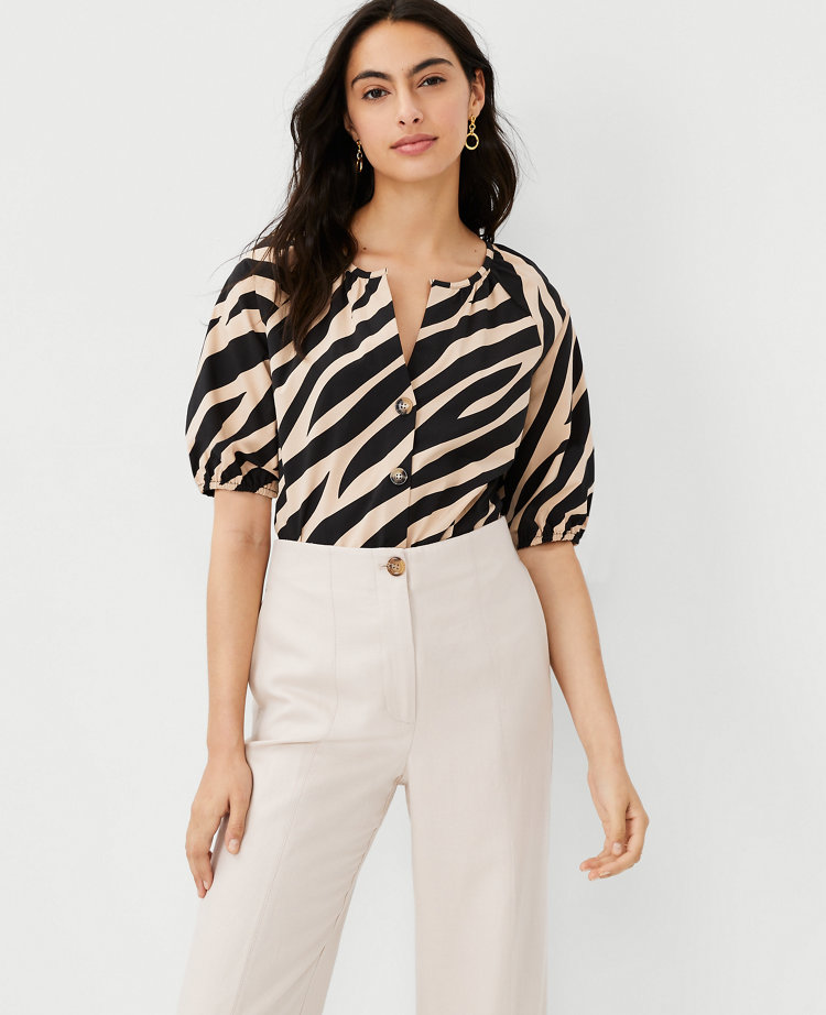 Zebra Stripe Raglan Blouse