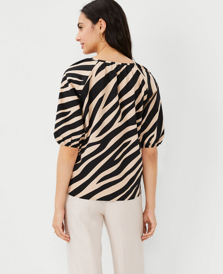 Zebra Stripe Raglan Blouse