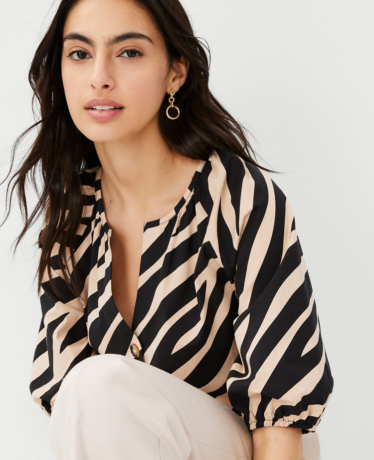 Zebra Stripe Raglan Blouse