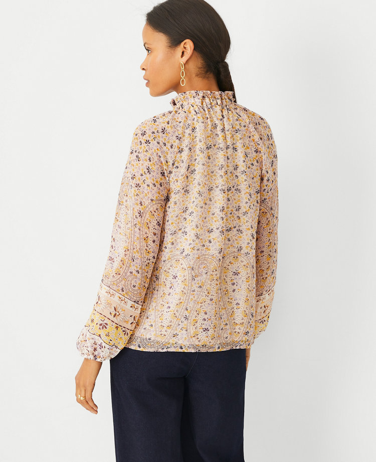 Shimmer Paisley Clip Dot Shirred Neck Raglan Sleeve Top