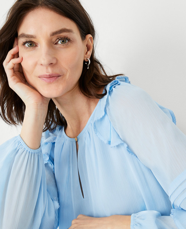 Pintucked Ruffle Sleeve Top