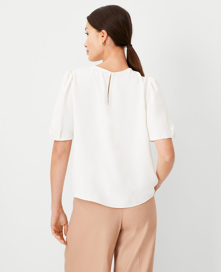 Pleated Sleeve Top