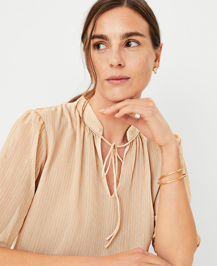 Metallic Stripe Stand Collar Tie Neck Top