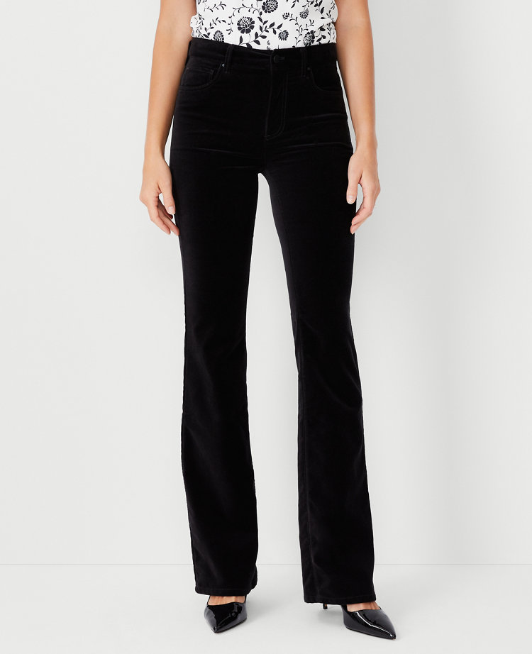 The Petite Mid Rise Boot Pant in Velvet