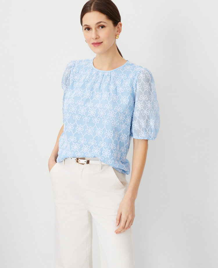 Eyelet Pleated Sleeve Top