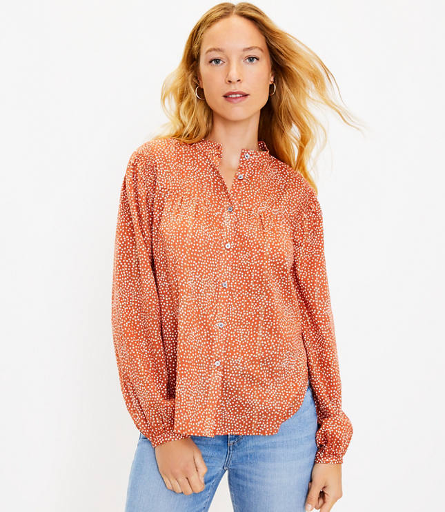 Shimmer Stripe Dotted Blouse