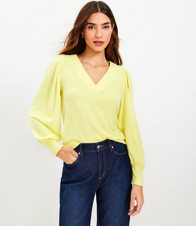 Textured Cozy Puff Sleeve V-Neck Top