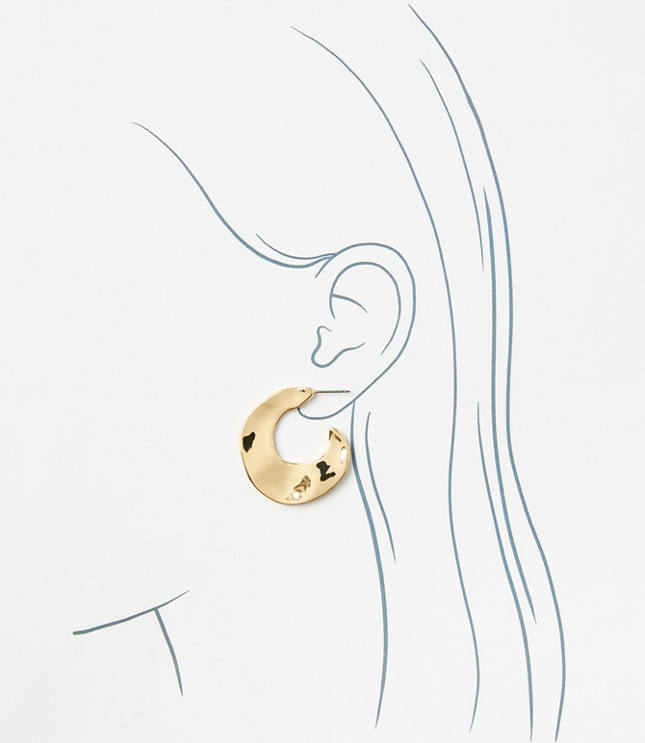 Sculpted Hoop Earrings